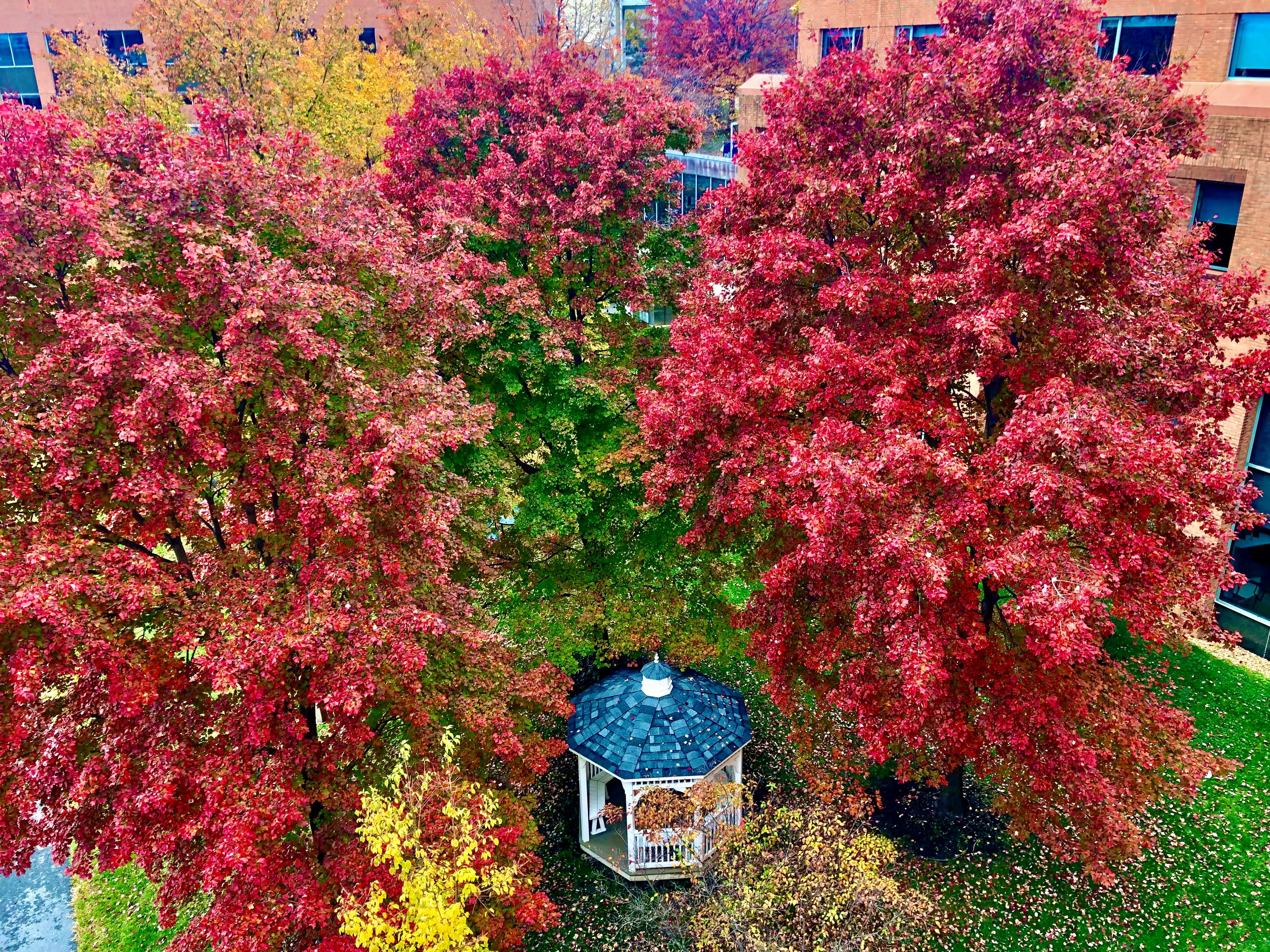 Campus Green