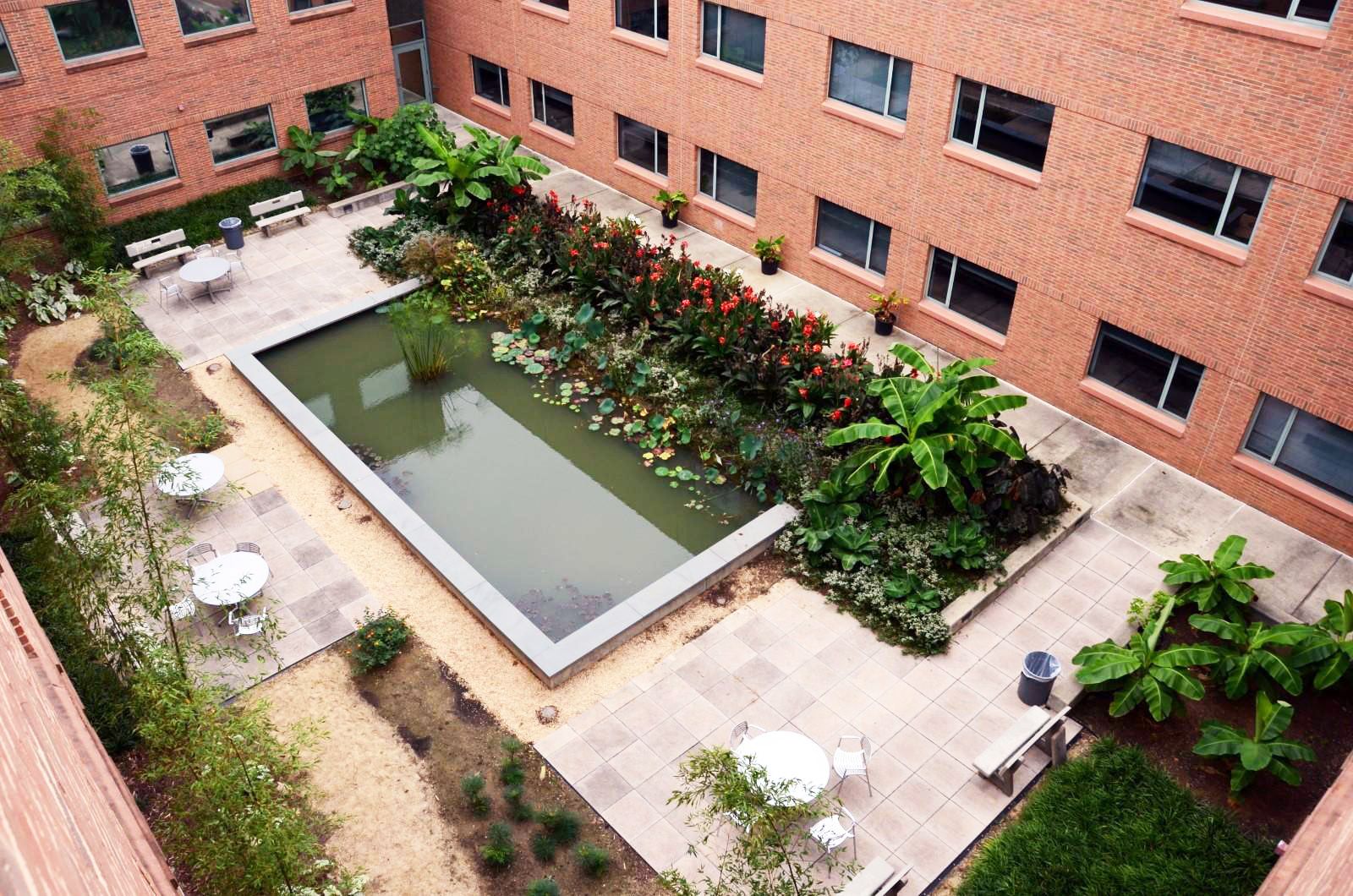 Pond